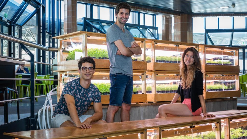 Pequeños invernaderos inteligentes destinados a cultivar tus propias ...