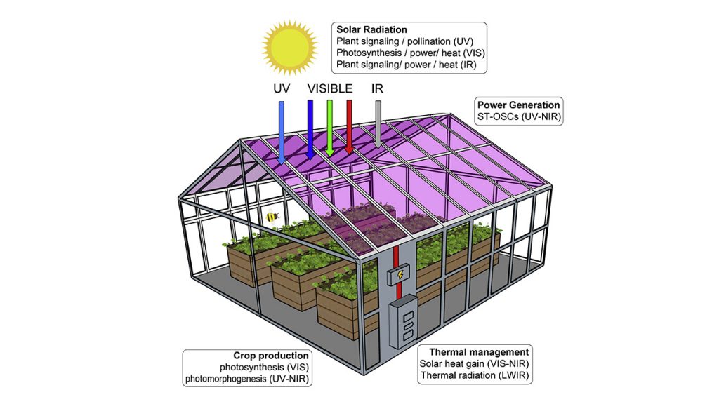 Nuevos avances en el campo de la Agrivoltaica: logran desarrollar ...